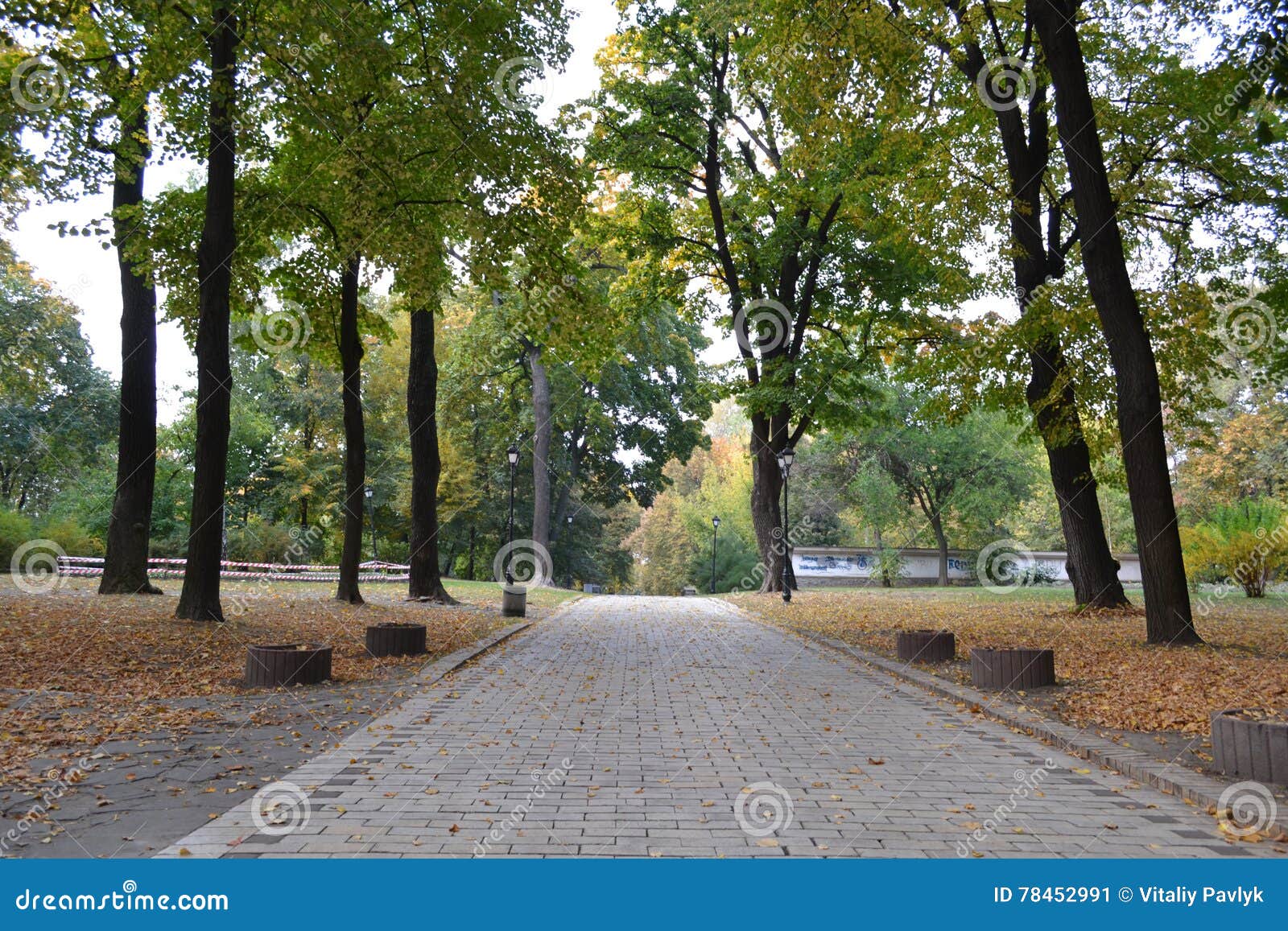 Mariinsky park stock image. Image of beautiful, mariinsky - 78452991