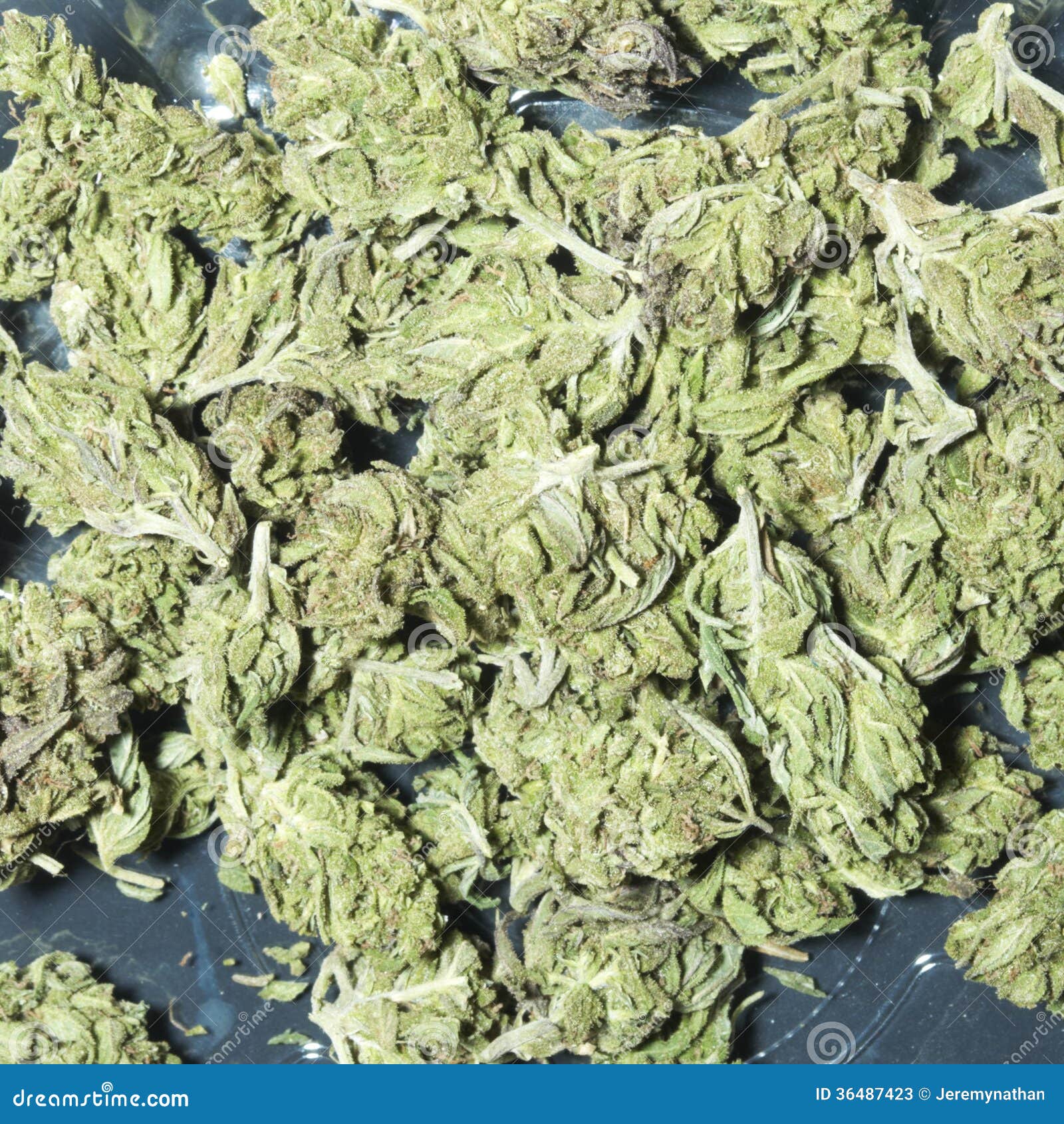 Marijuana Background stock image. Image of ganja, herbal - 36487423