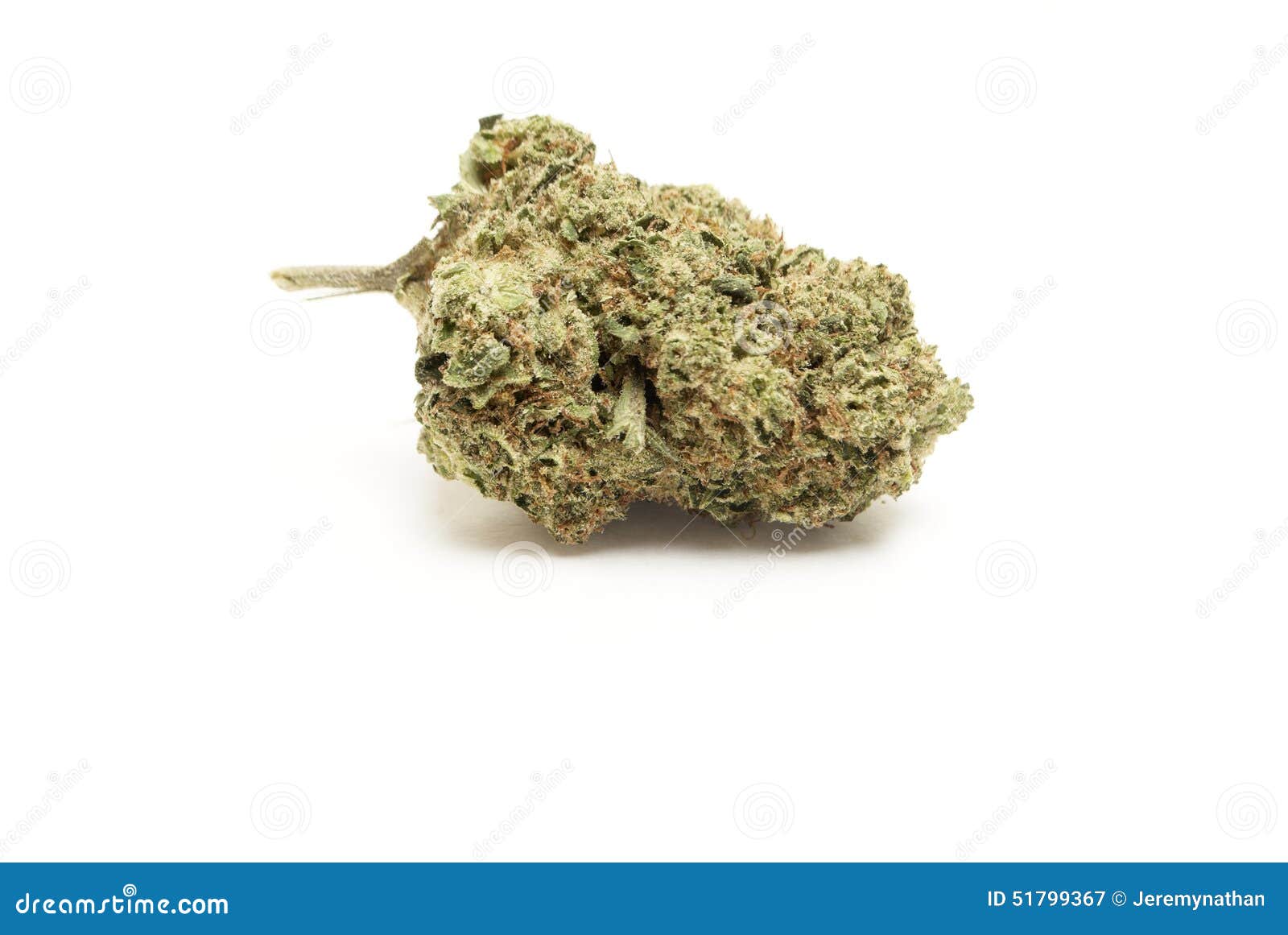 Marijuana stock image. Image of illegal, cannabis, drug - 51799367
