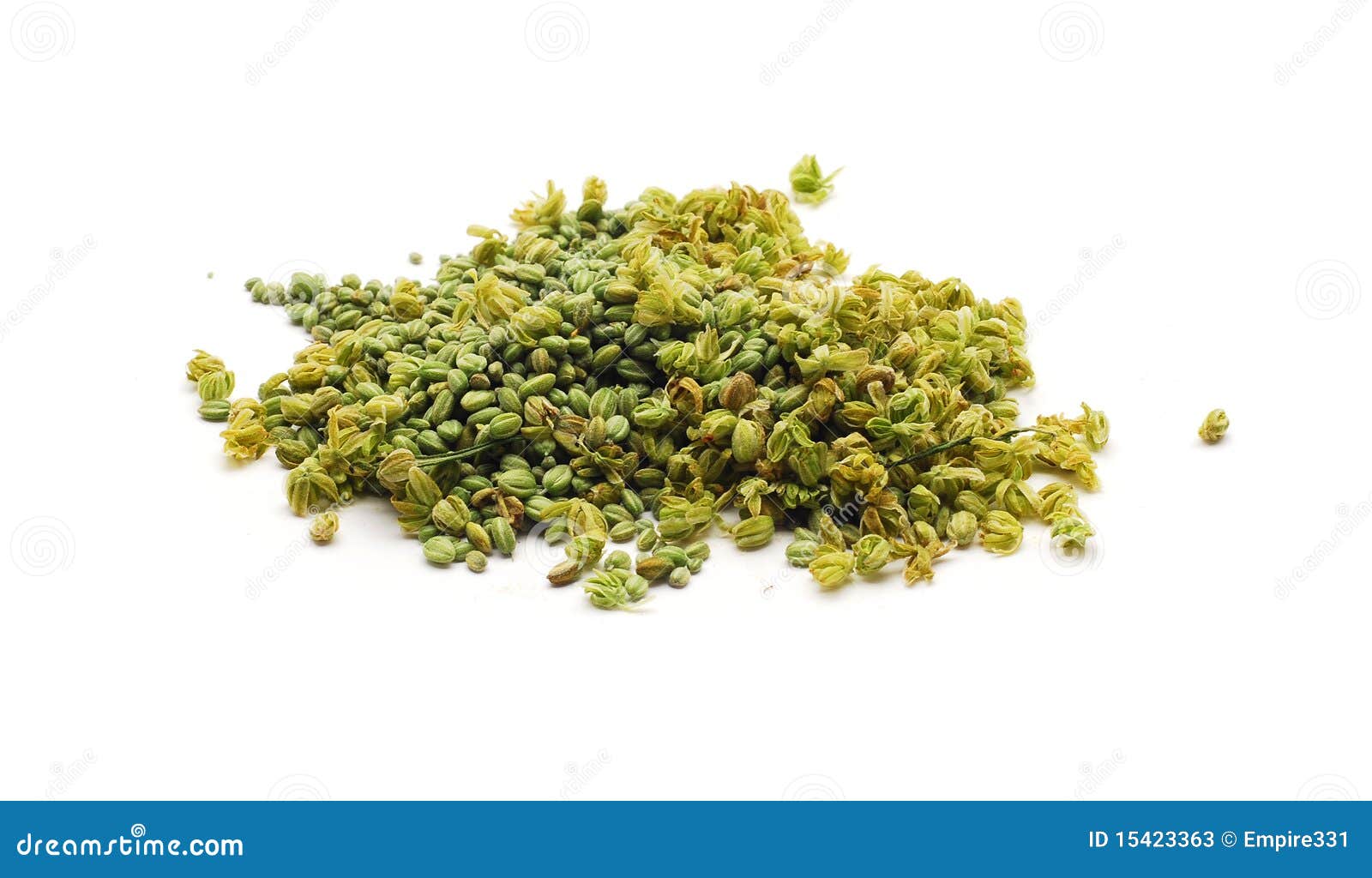 Marijuana / hemp buds stock image. Image of hashish, addiction - 15423363