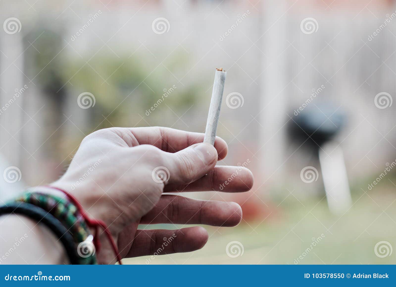 Marijuana joint in hand stock photo. Image of spliff - 103578550