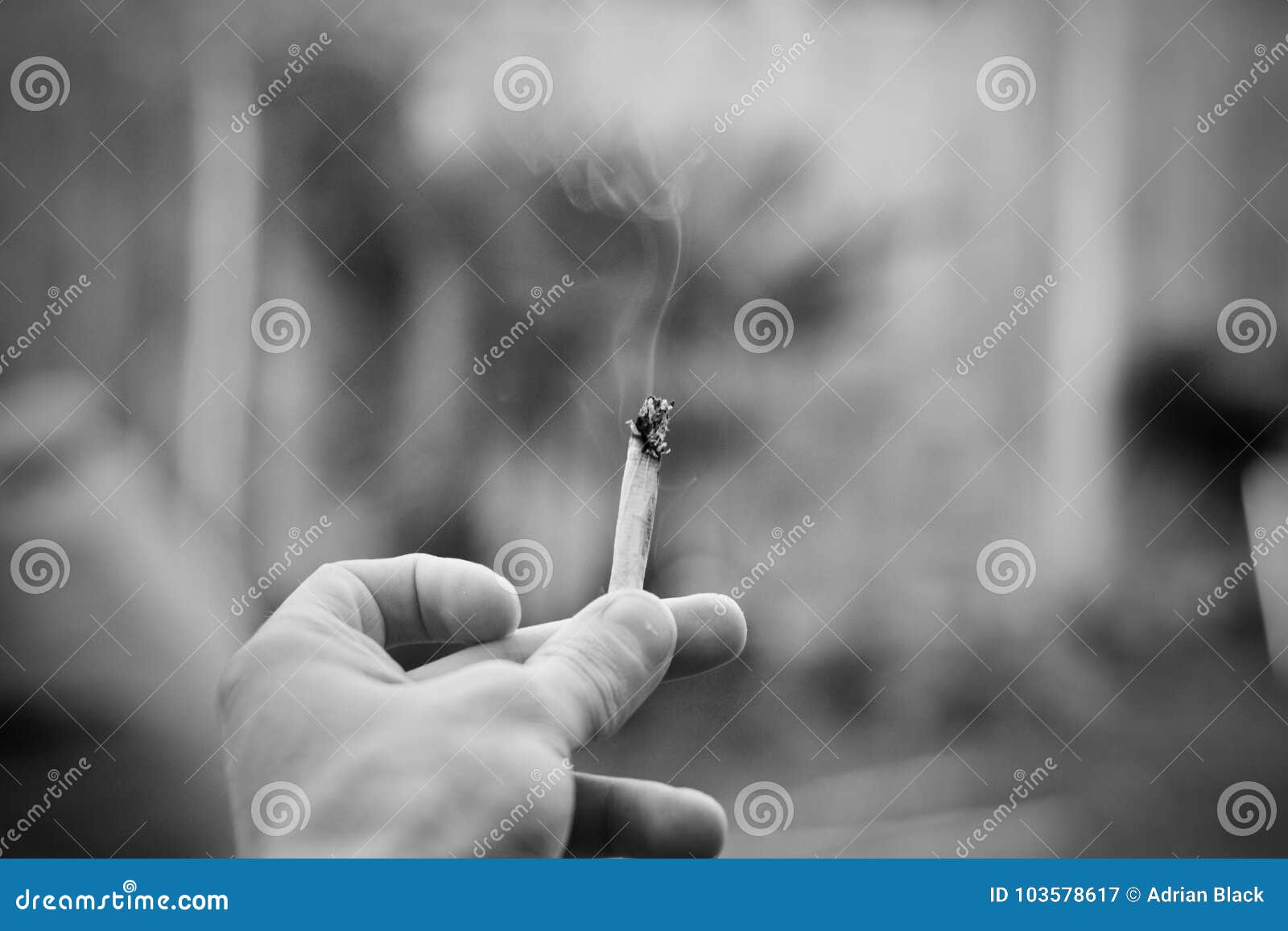 Marijuana joint in hand stock image. Image of nature - 103578617