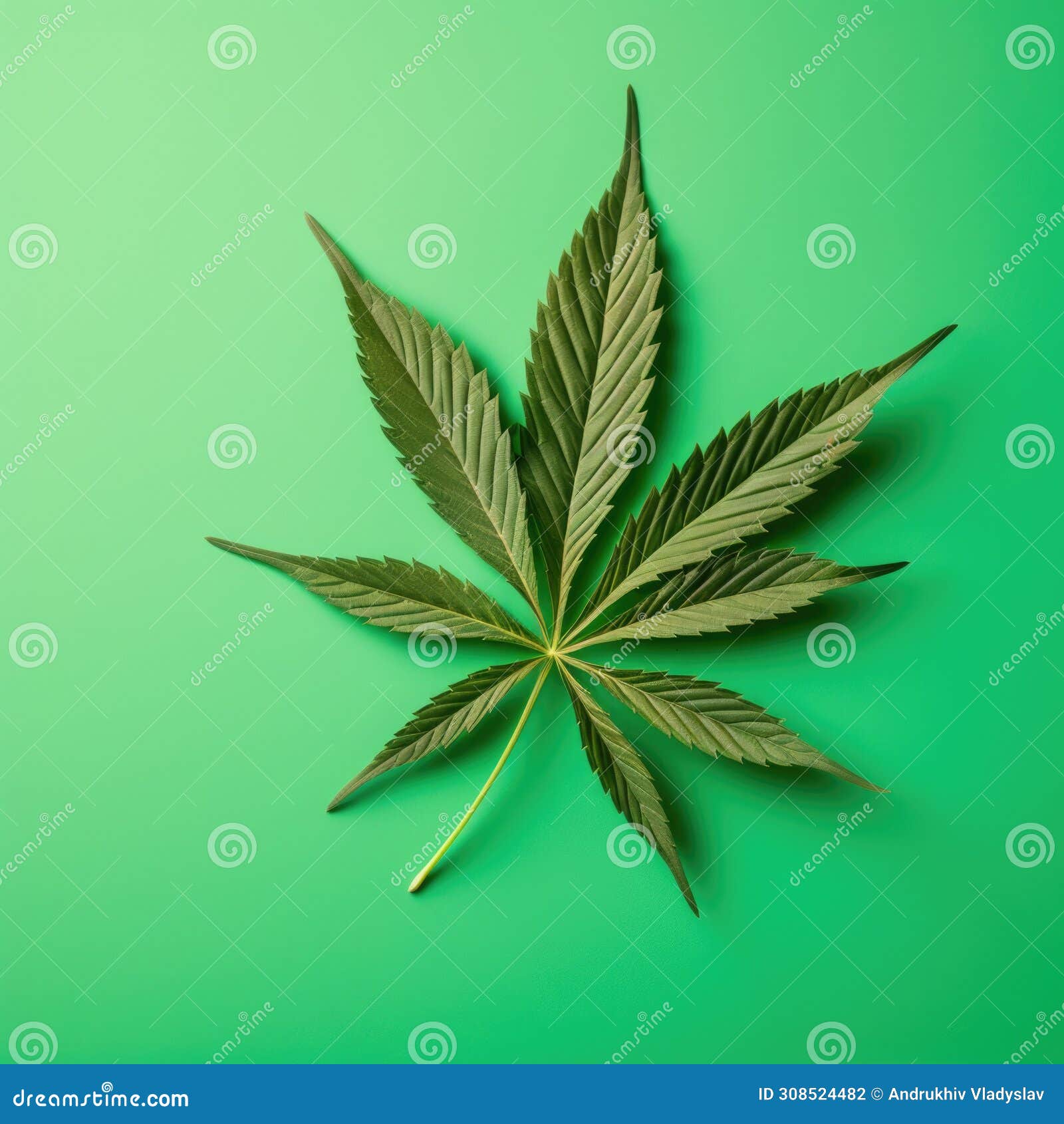Marijuana Leaf on a Color Background Stock Illustration - Illustration ...