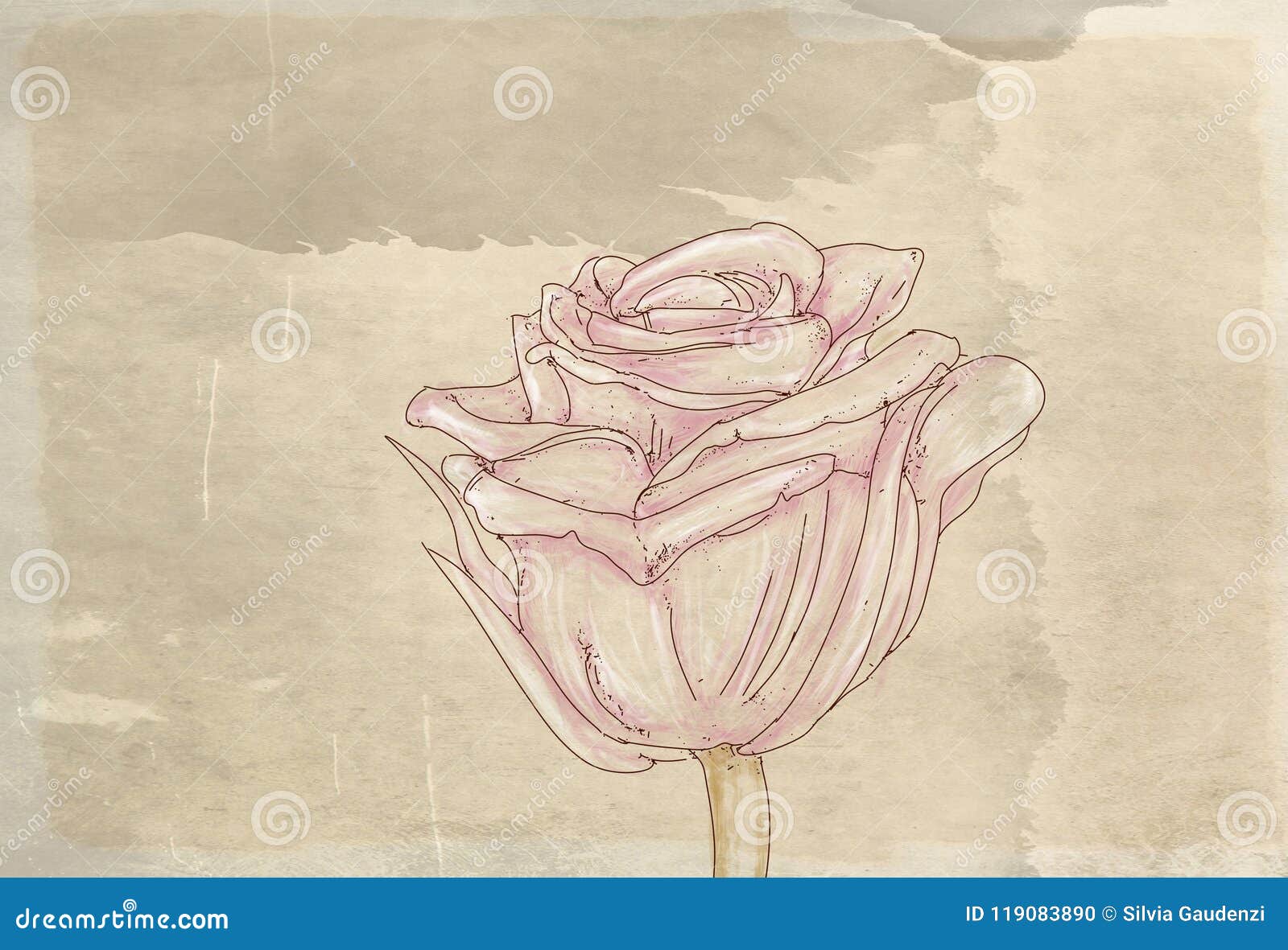 Series of Flowers, with Vintage Antique Base Stock Illustration ...