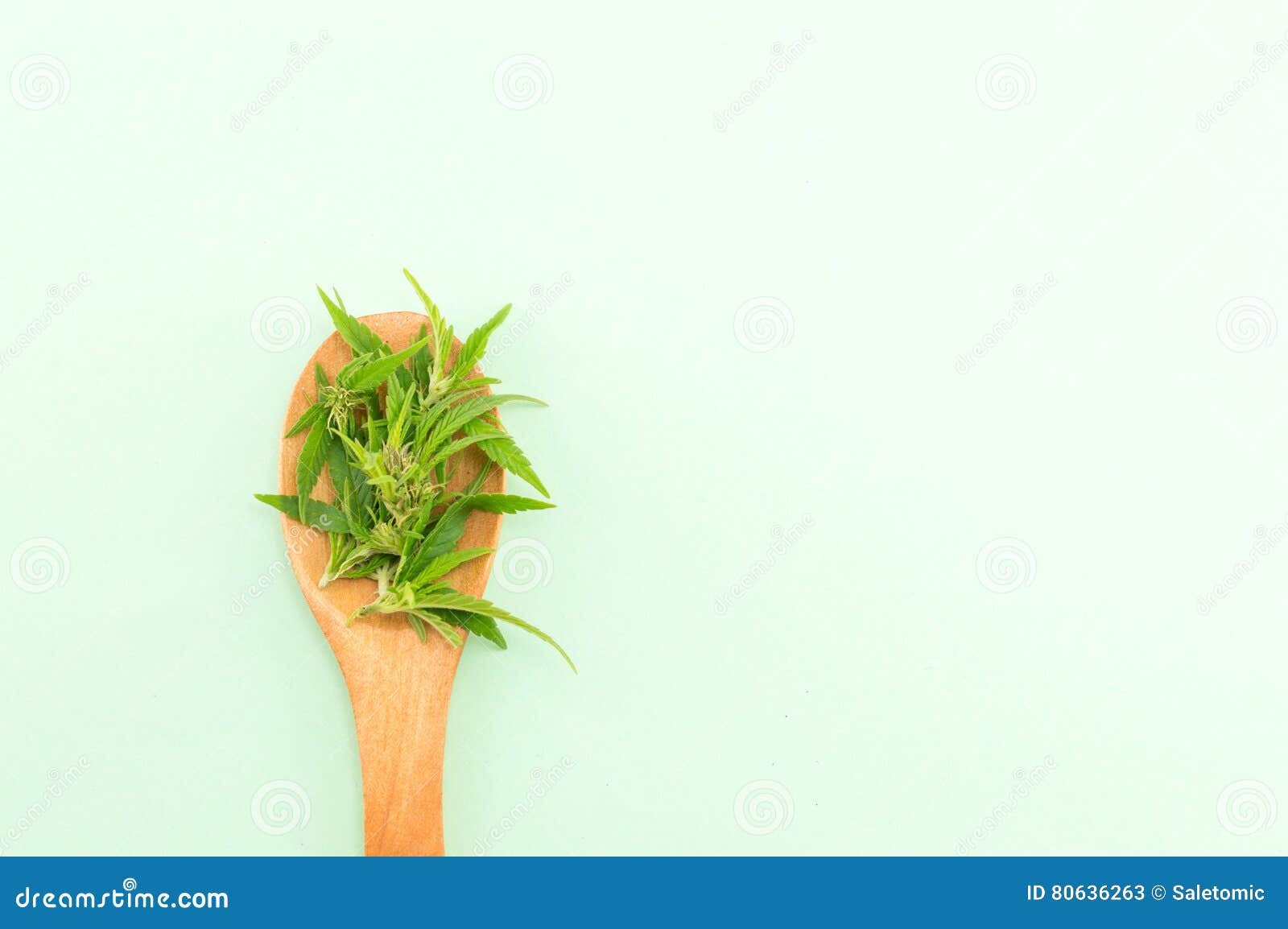 Marijuana Plant in a Wooden Spoom Stock Image - Image of growing, leaf ...