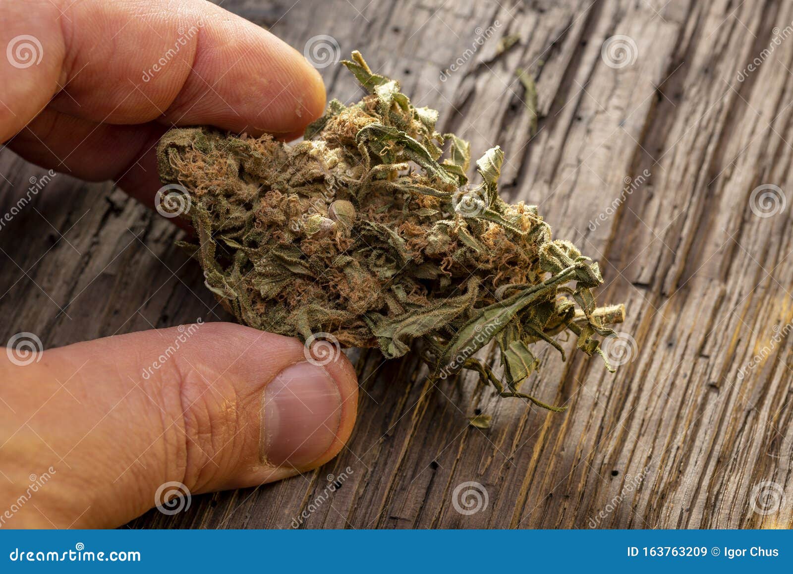 Marijuana and Syringe on a Background of Bog Oak 2019 Stock Image ...