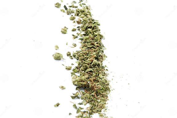 Marijuana, White Background Stock Photo - Image of indica, high: 38408308
