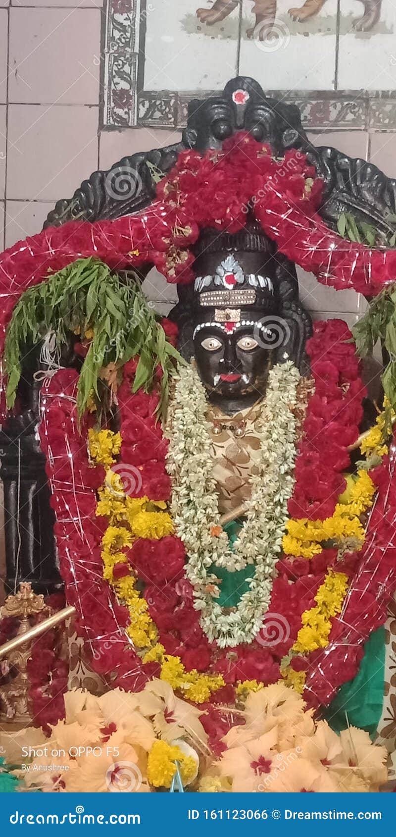 Marikamba stock photo. Image of godess, beutiful, cool - 161123066