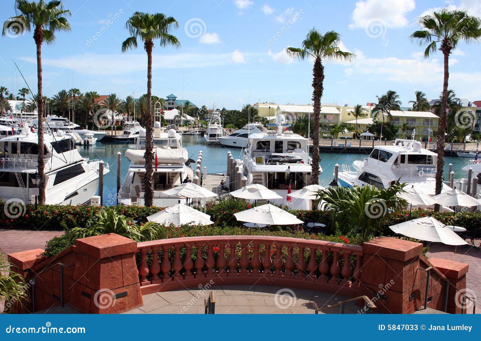 Marina stock image. Image of priviledge, umbrellas, transportation ...