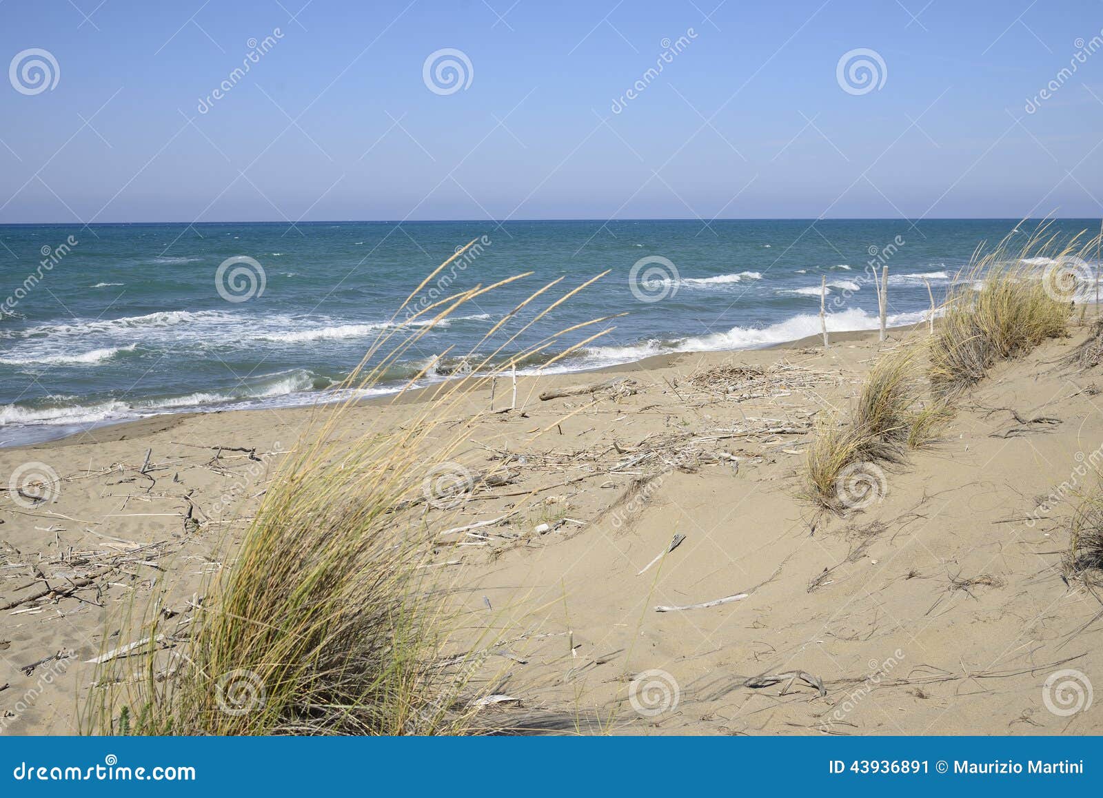 Marina di Alberese stockbild. Bild von strand, meer, küste - 43936891