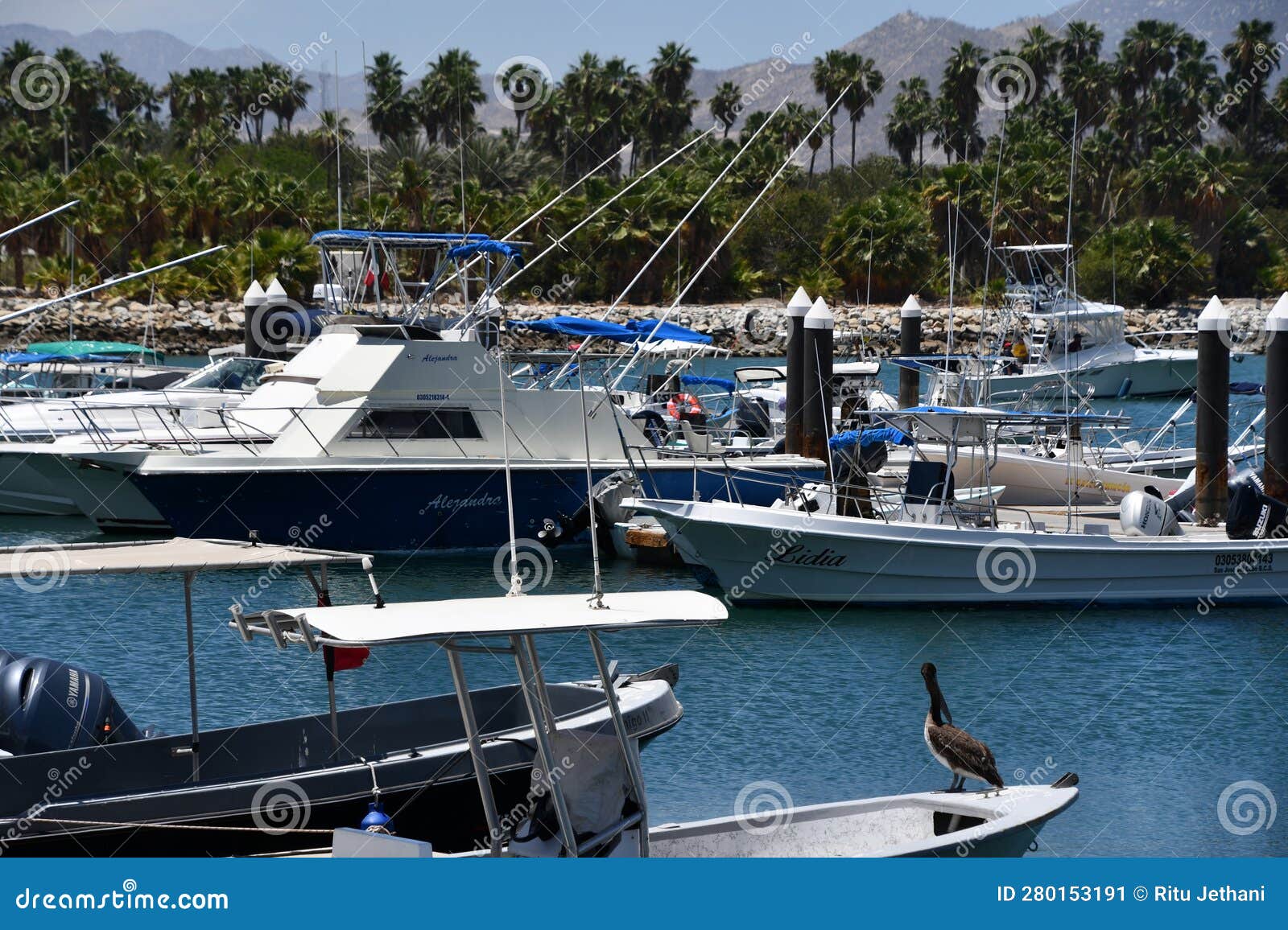 Marina in San Jose Del Cabo, Mexico Editorial Photo - Image of cesena ...