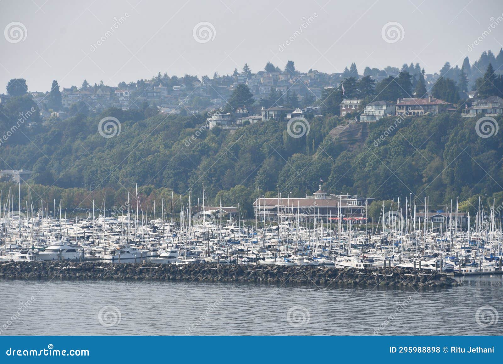 Marina in Seattle, Washington State Stock Photo - Image of northwest ...