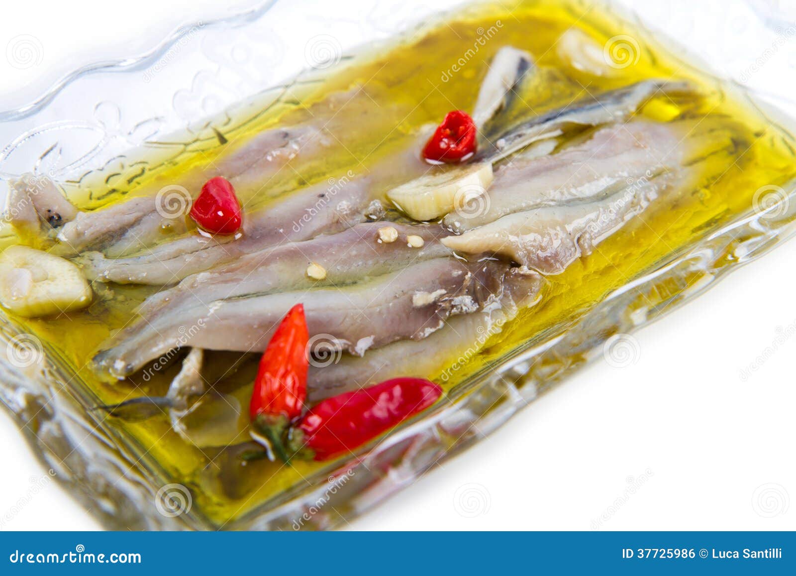 Marinated anchovies stock photo. Image of cuisine, oily - 37725986