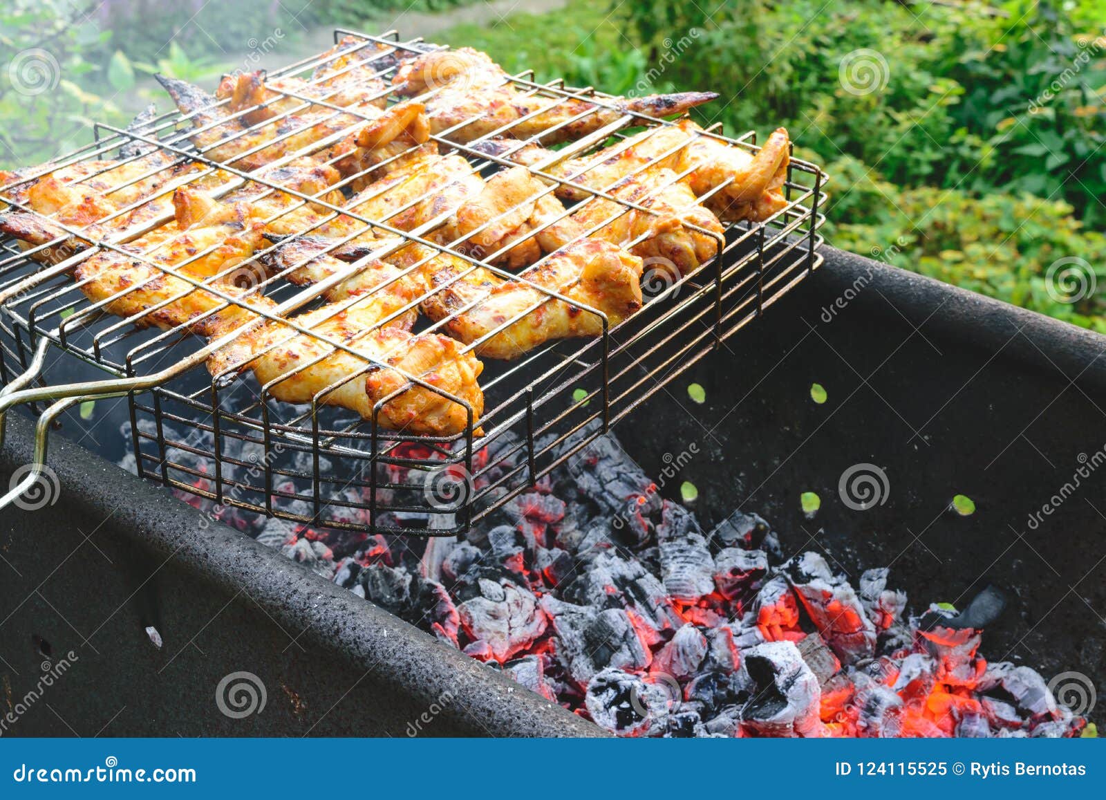 Marinated Chicken Wings Preparing on a Bonfire Charcoal in Nature at ...