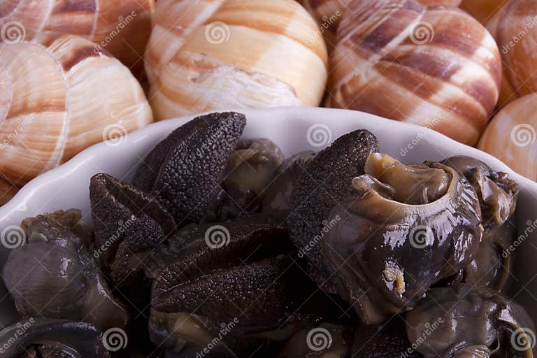 Marinated escargot stock image. Image of cook, tasty - 37851909
