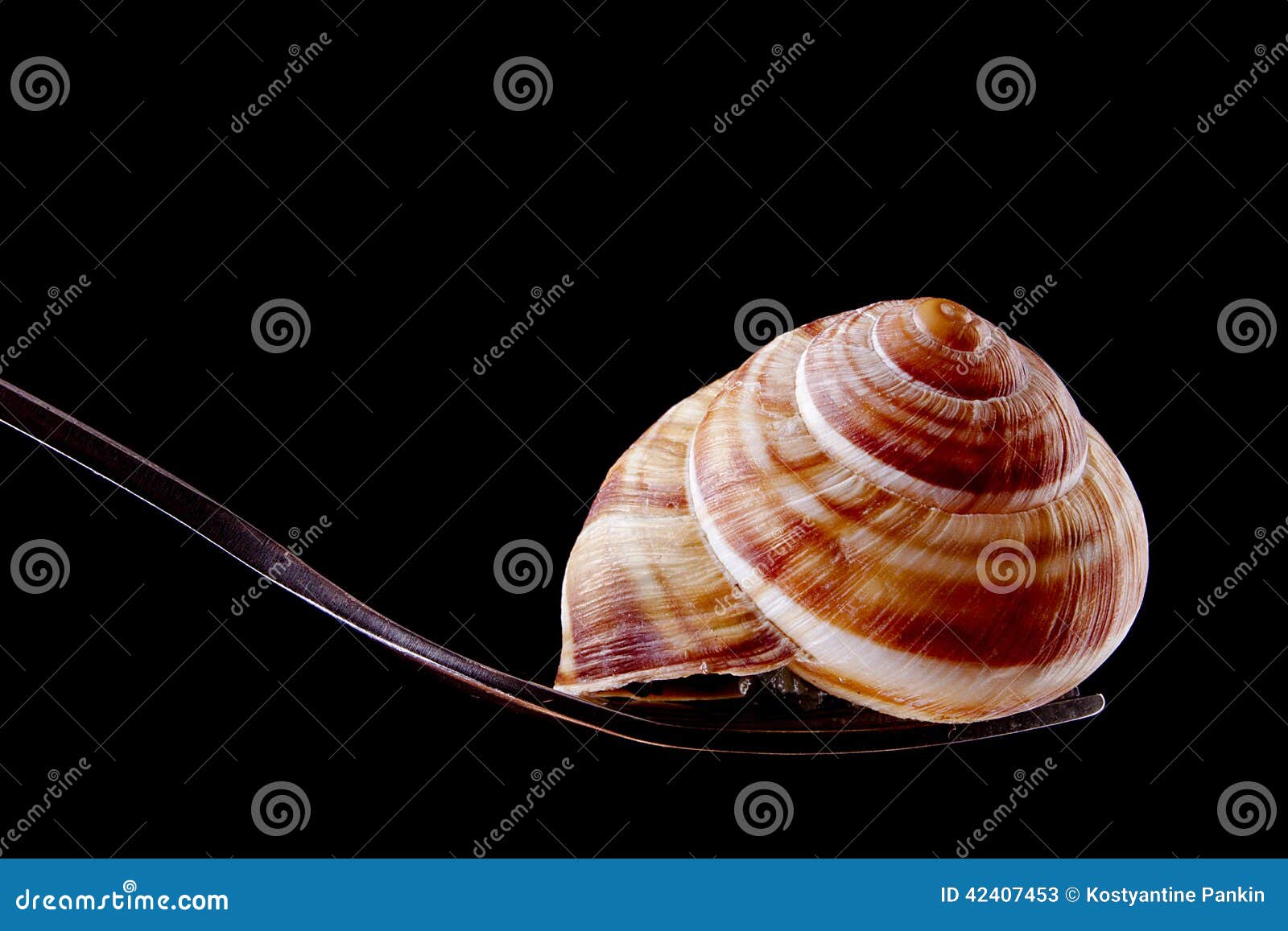 Marinated escargot on fork stock image. Image of lunch - 42407453