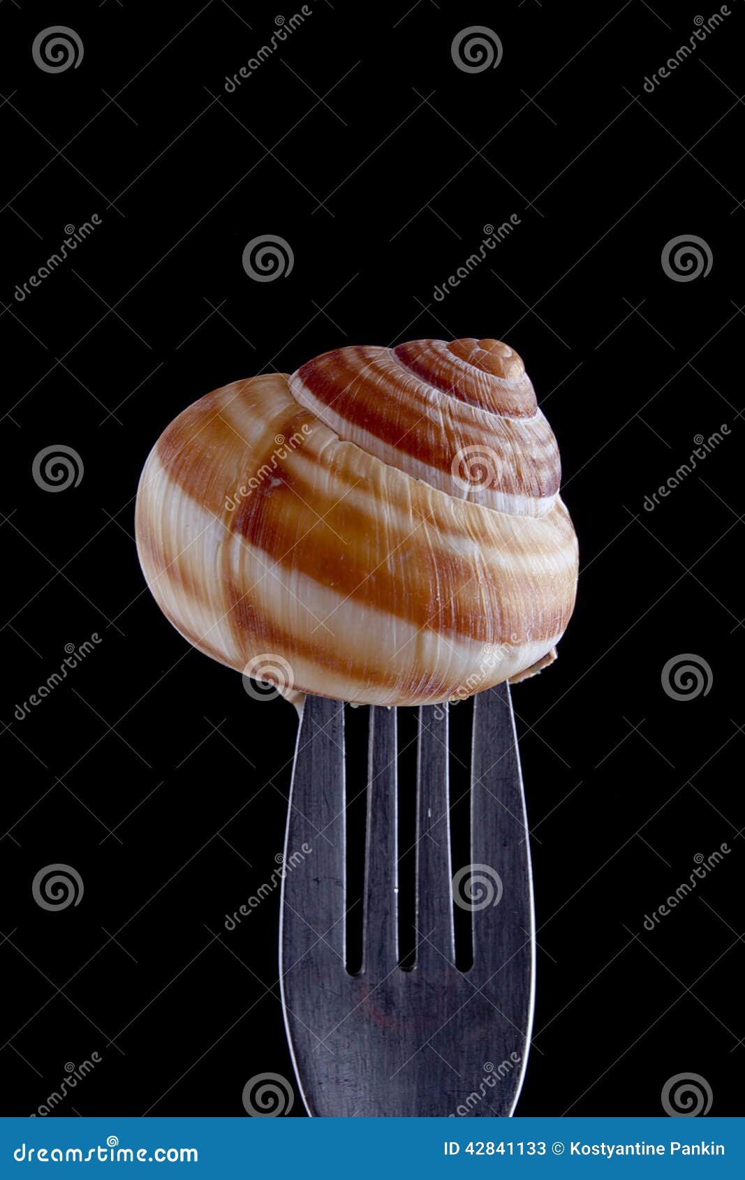 Marinated escargot on fork stock image. Image of snail - 42841133