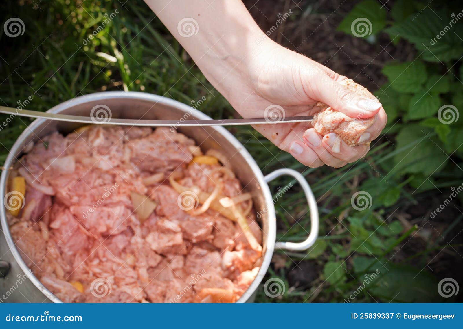 Marinated meat in the pan stock image. Image of cooking - 25839337