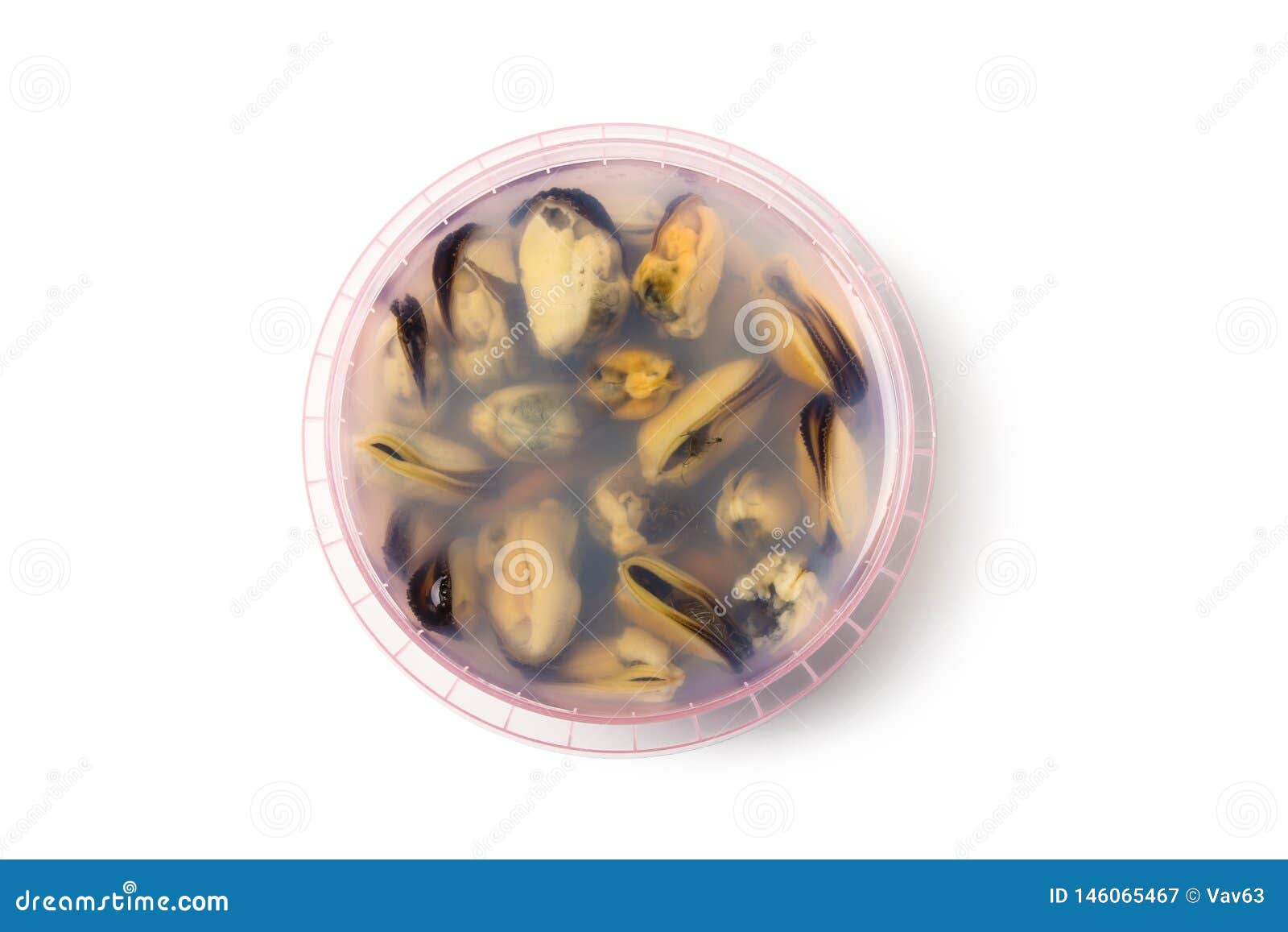 Marinated mussels stock image. Image of appetizer, gourmet - 146065467
