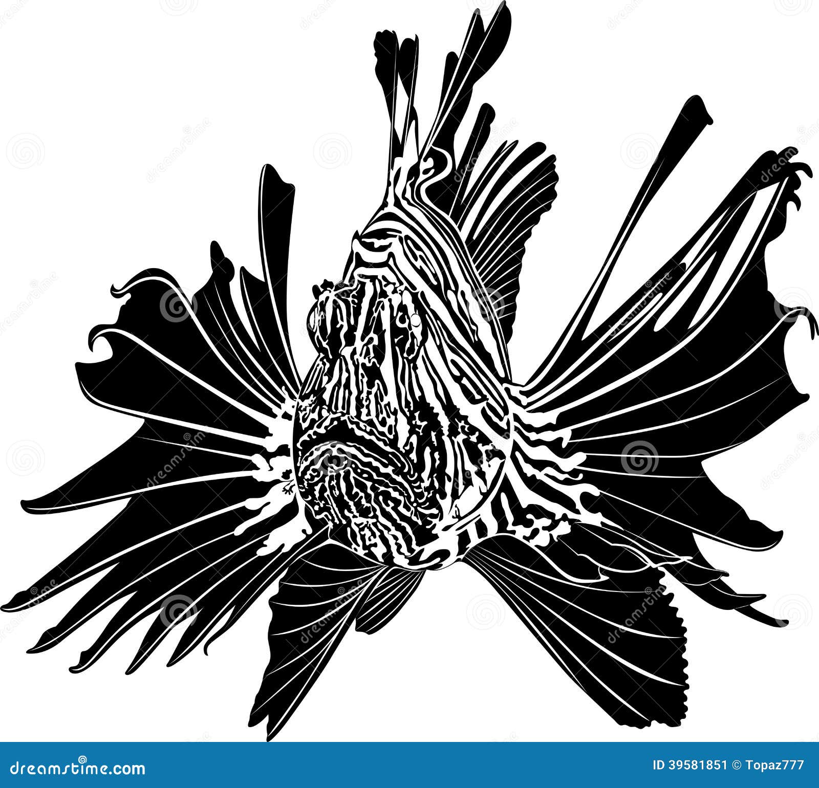 Zebra Lionfish Cartoon Vector | CartoonDealer.com #37666065