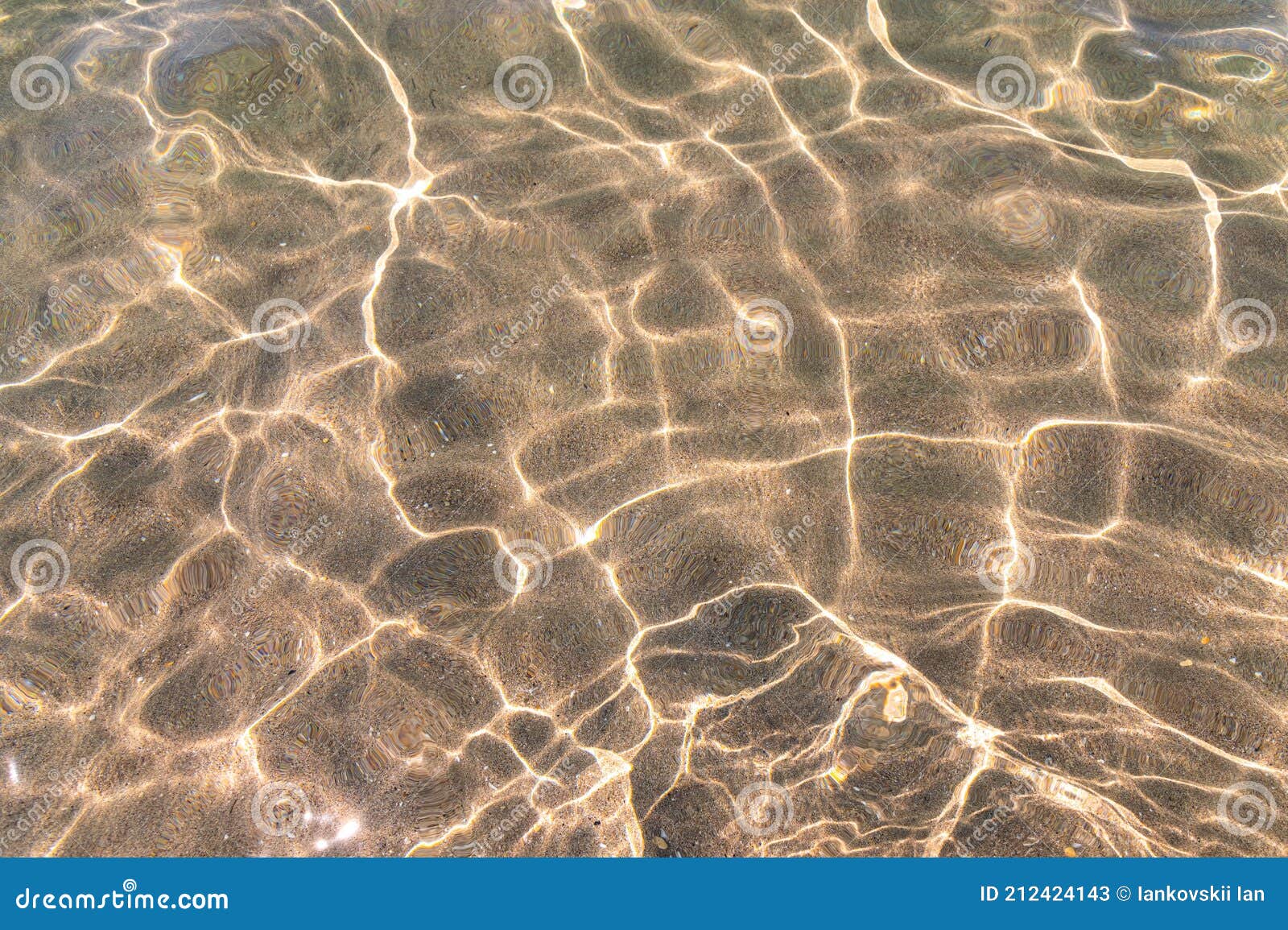 Marine Background at the Bottom of the Sea. View through the Water and ...