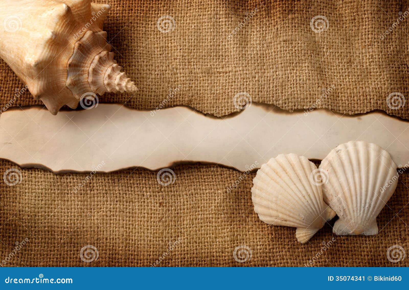 Marine background. stock image. Image of close, backdrop - 35074341