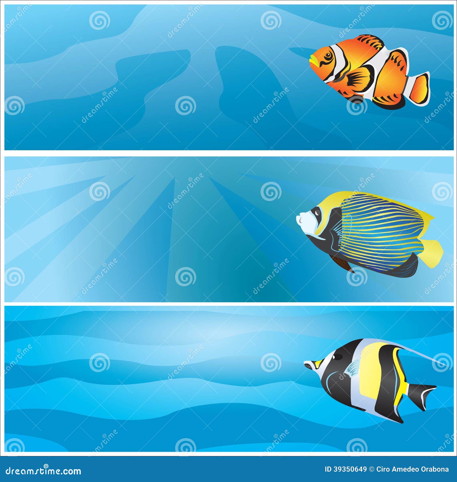 Marine banner stock illustration. Illustration of lagoon - 39350649