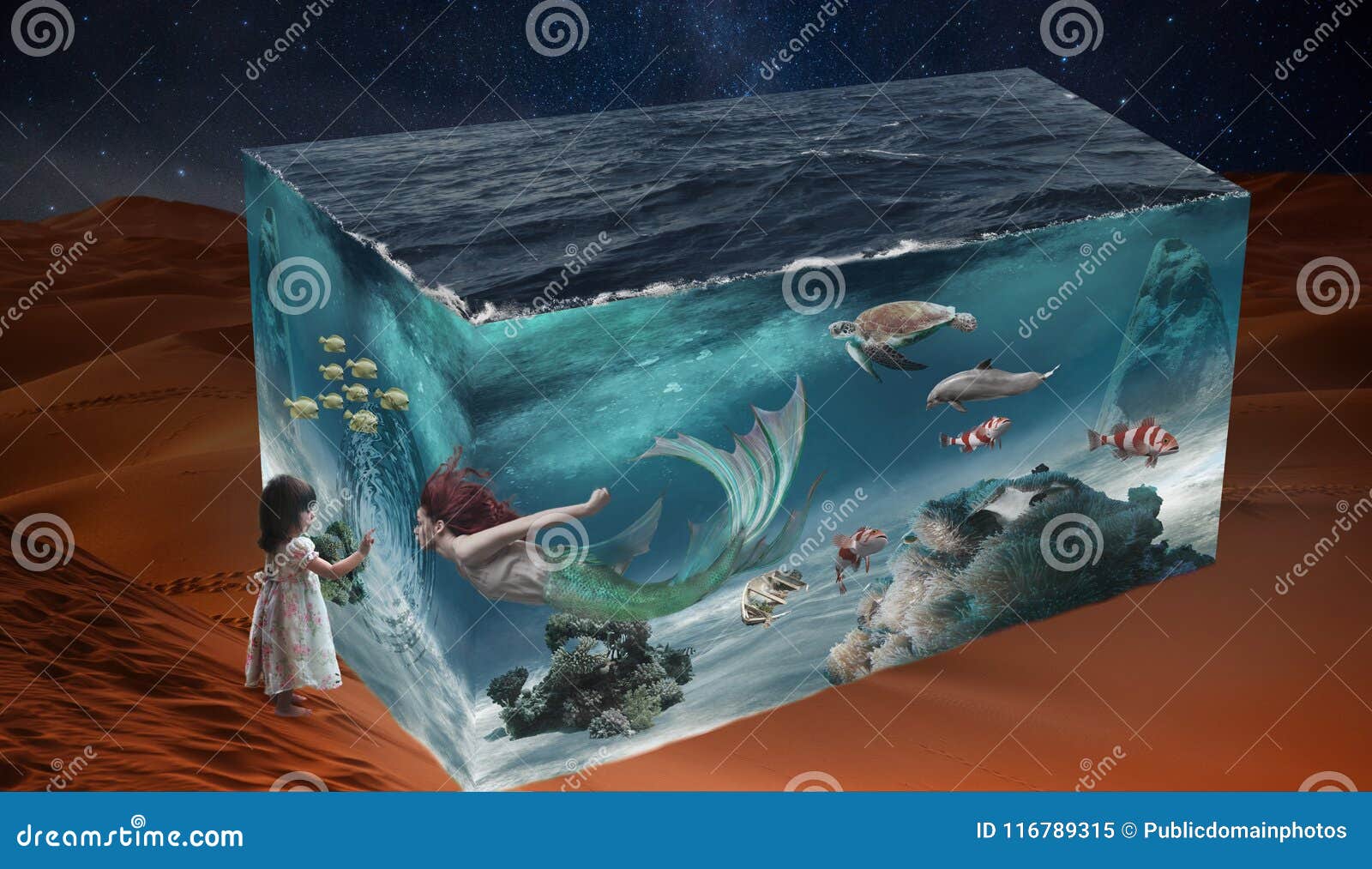 Biological Oceanography Cartoon