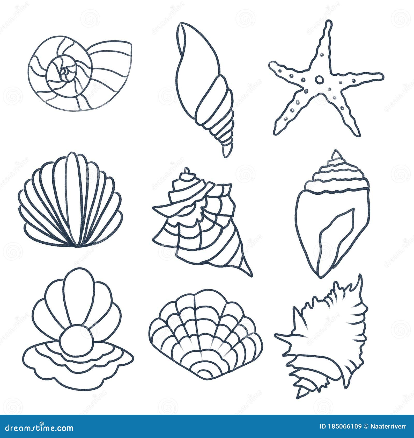 Marine: Blue Shells on a White Background Stock Illustration ...