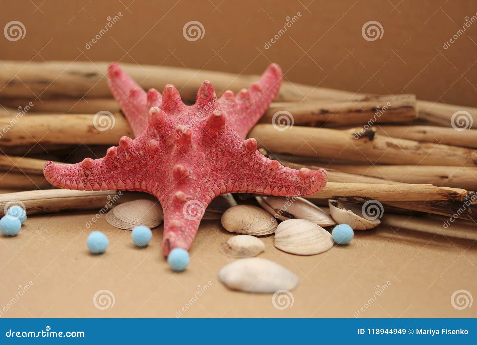 Sea composition stock image. Image of decoration, life - 118944949