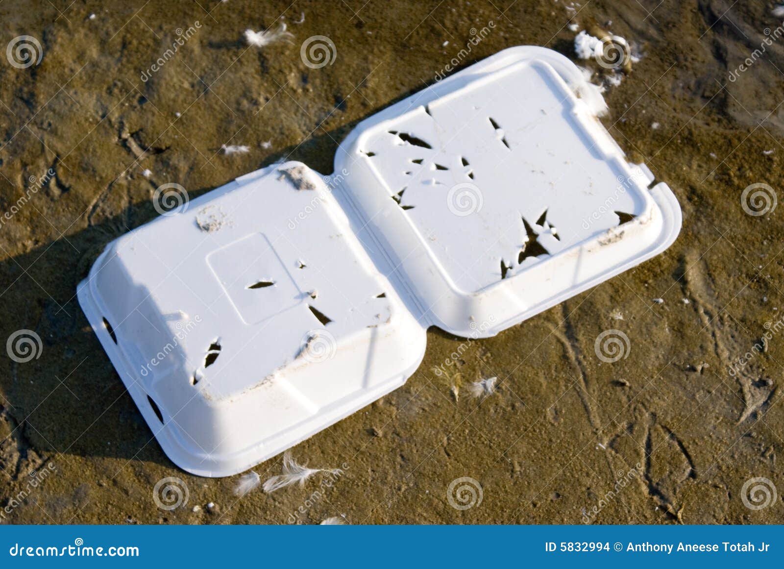 Marine Debris stock photo. Image of debris, footprint - 5832994