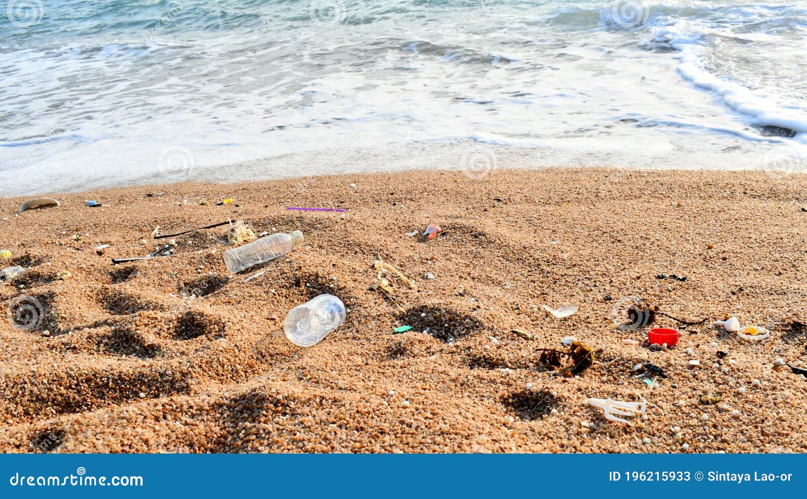Plastic Marine Pollution. Seal Caught In Tangled Nylon Fishing N ...