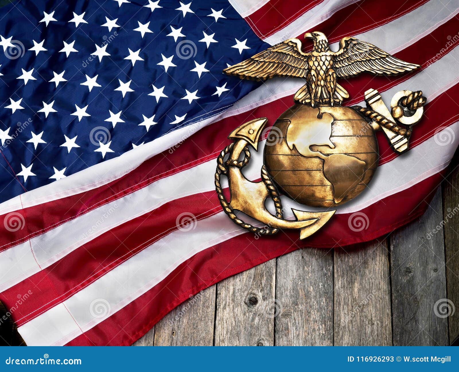 Marine Eagle, Globe and Anchor. Stock Image - Image of marine, navy ...