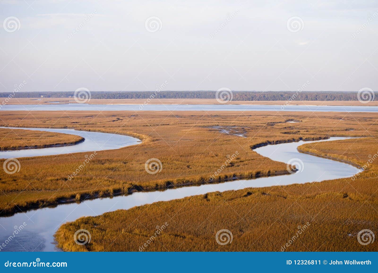 Marine estuary stock image. Image of view, salt, ecosystem - 12326811