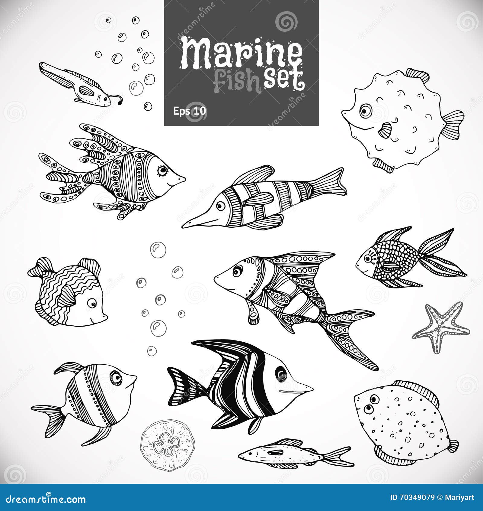 Marine fish set hand drawn stock vector. Illustration of antique - 70349079