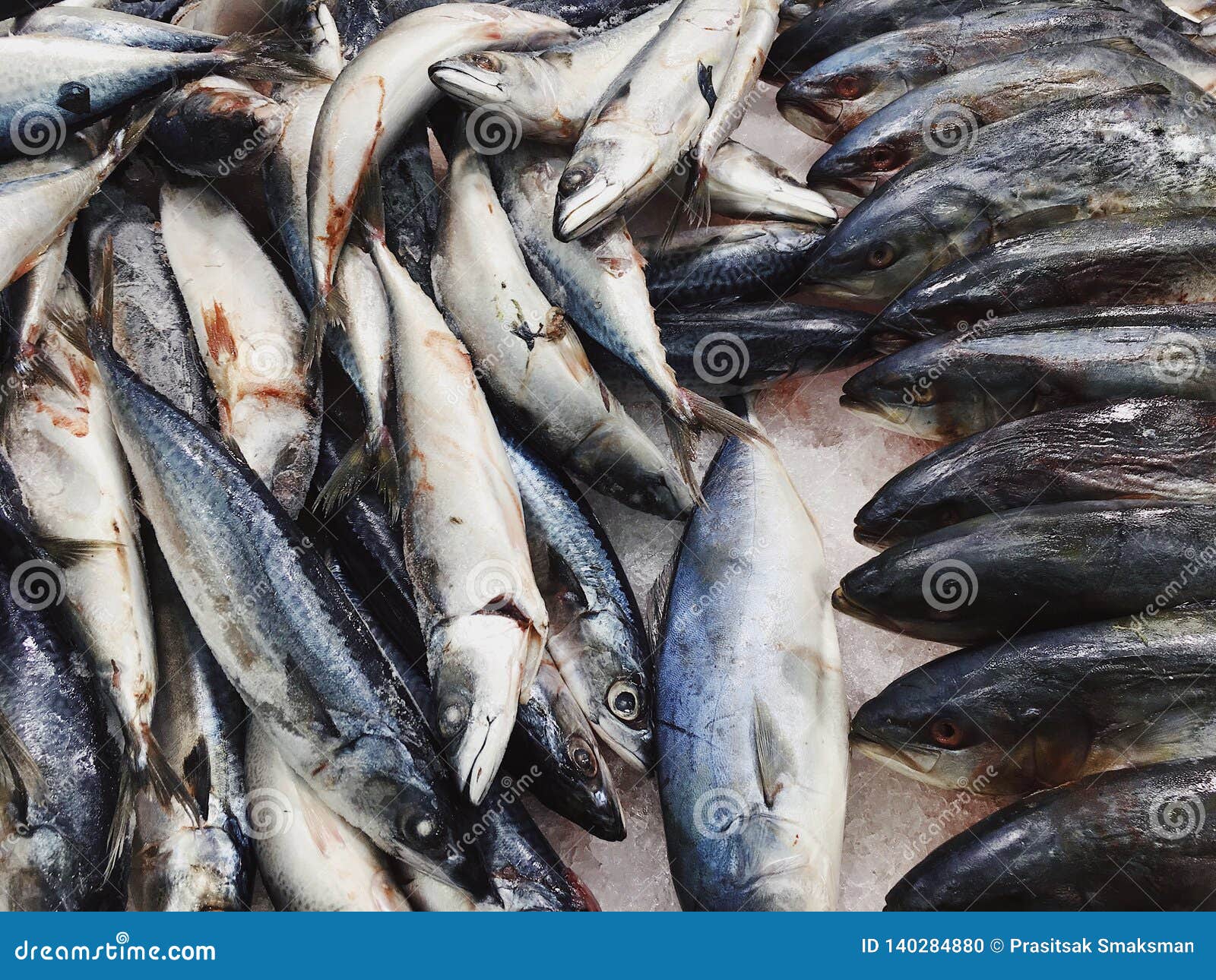 Fresh fish stock photo. Image of freshness, sold, fresh - 140284880