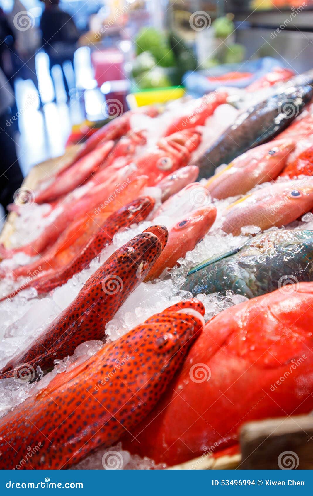 Marine fish on the taiwan stock photo. Image of citron - 53496994