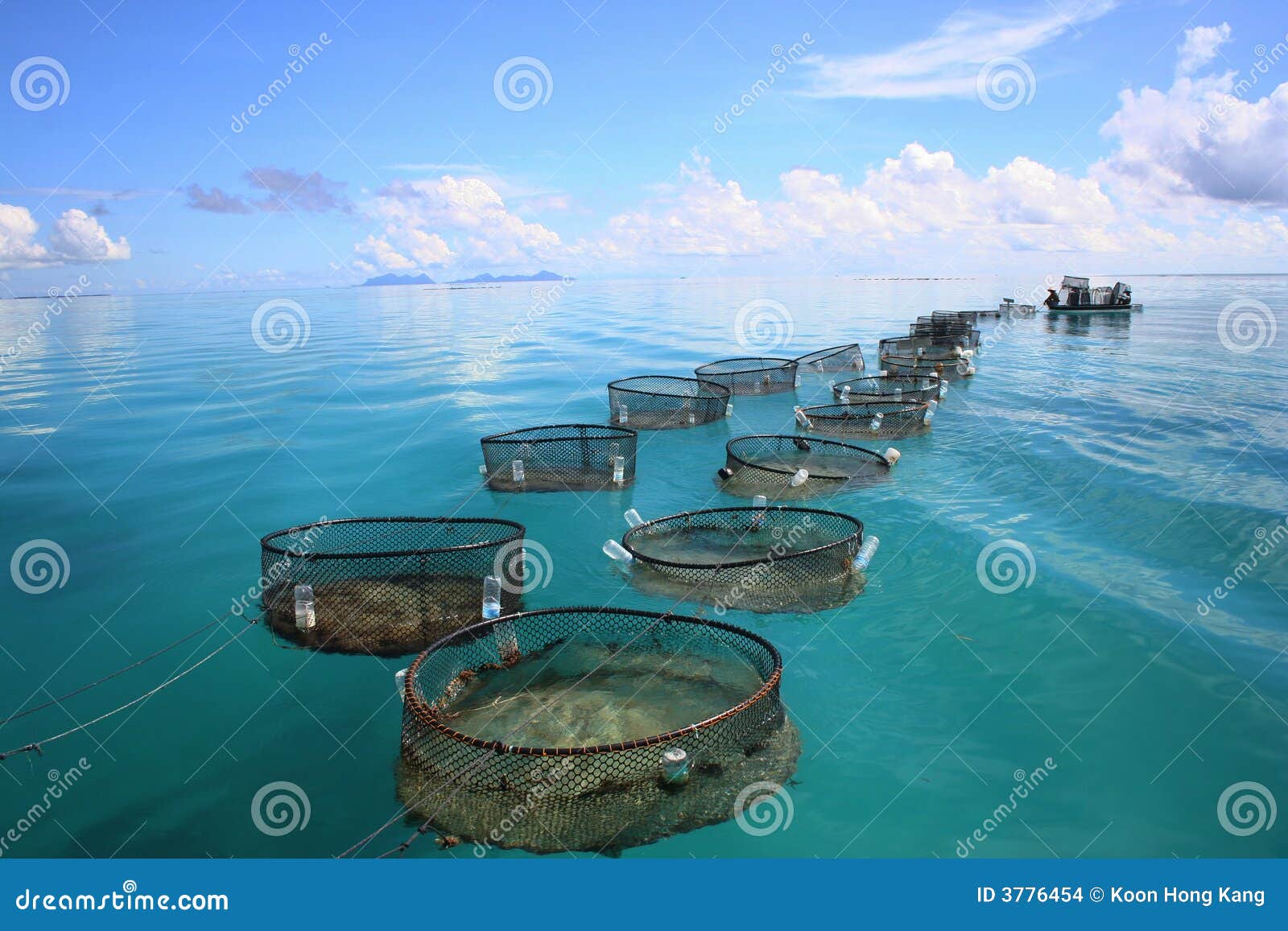 Marine fishery stock photo. Image of drift, aquaculture - 3776454