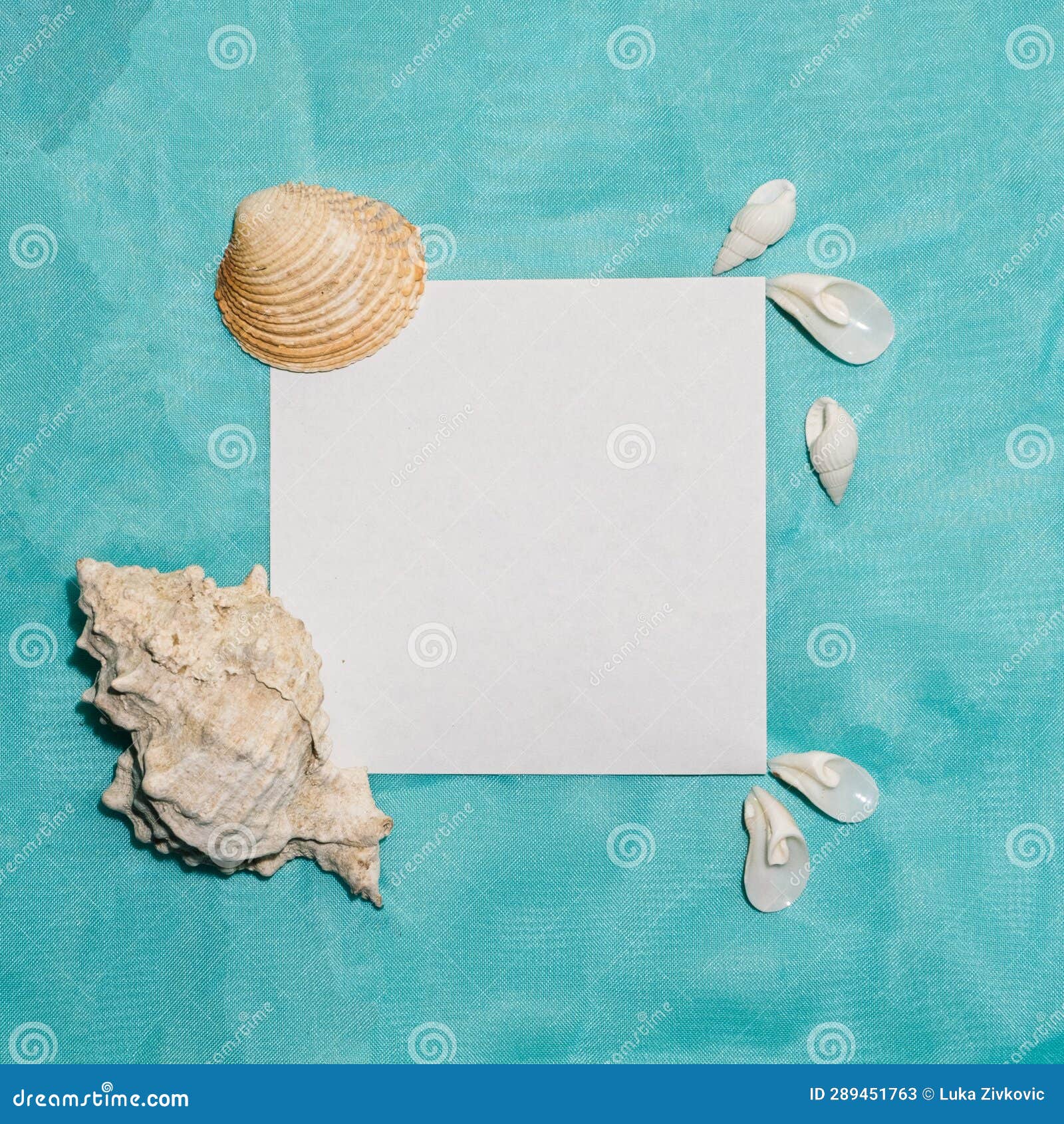 Marine Flat Lay Composition with Card Note Space in the Middle ...