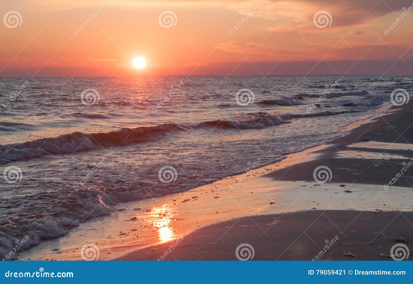 Marine freshness stock image. Image of marine, inspiration - 79059421
