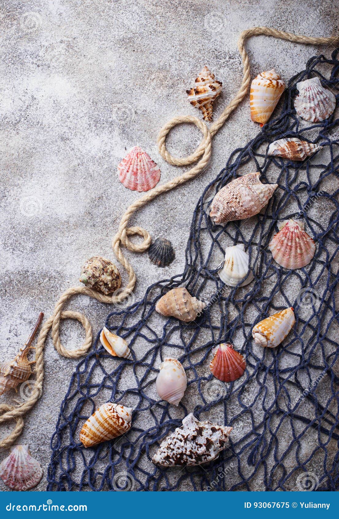 Marine Items: Sea Shells, Rope, Fishnet Stock Image - Image of design ...