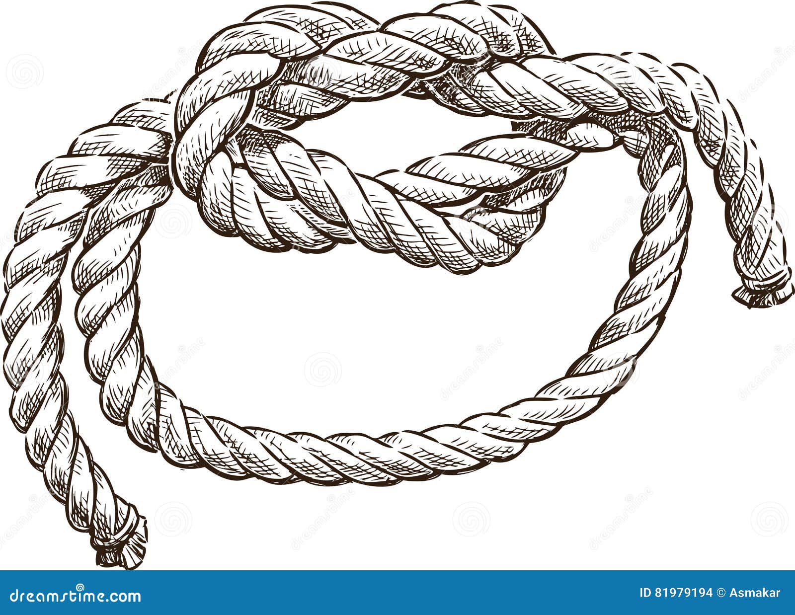 Marine Knot Drawing. Naval Cordage. Twisted Rope Cartoon Vector ...