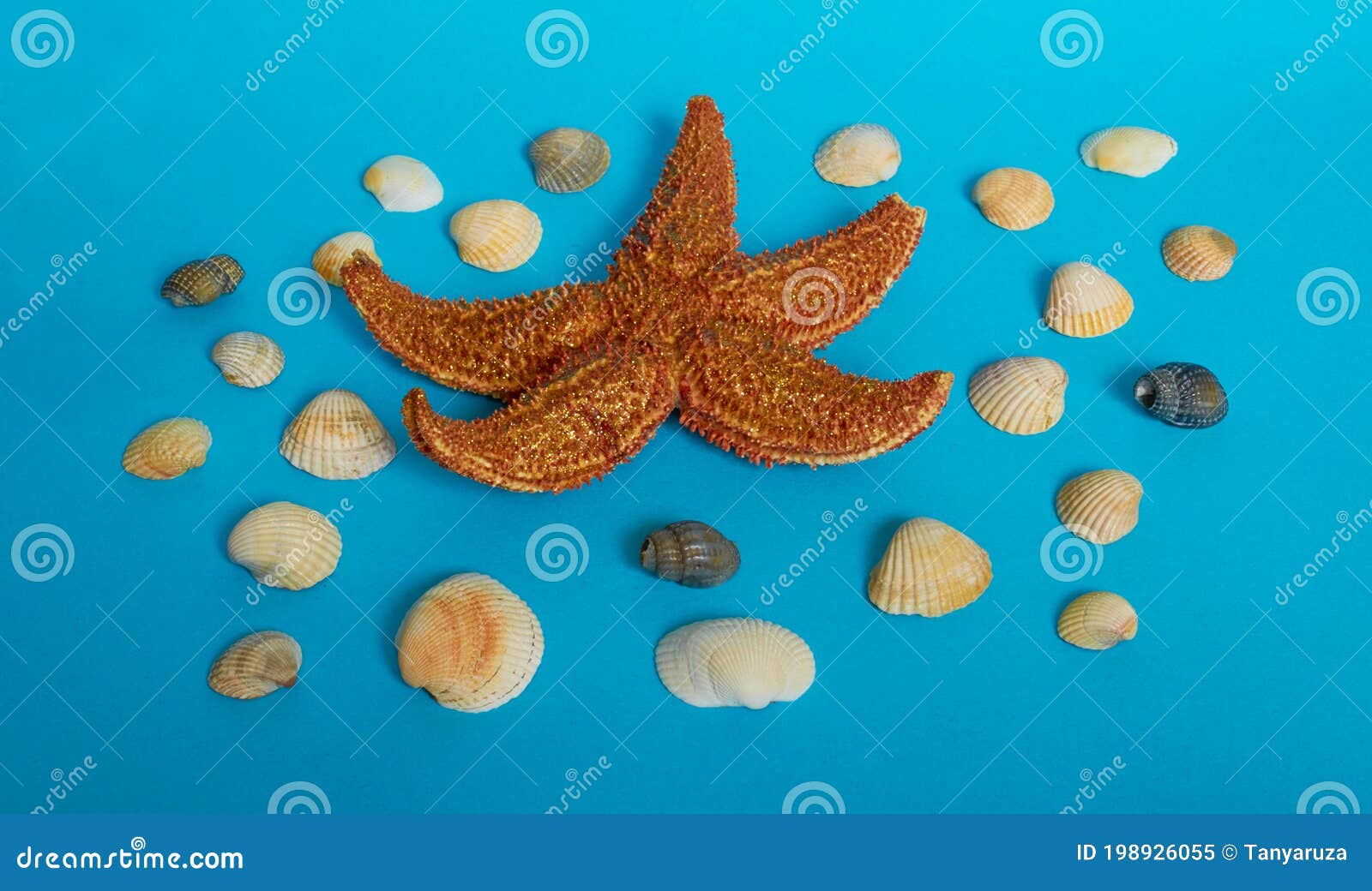 Marine Layout. Starfish and Many Small Shells on a Blue Background ...