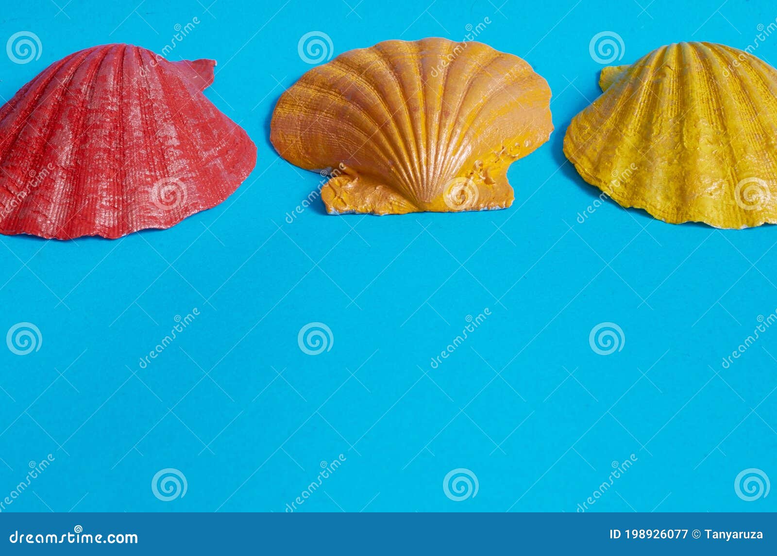Marine Layout. Three Sea Shells Painted in Red, Yellow and Orange on a ...