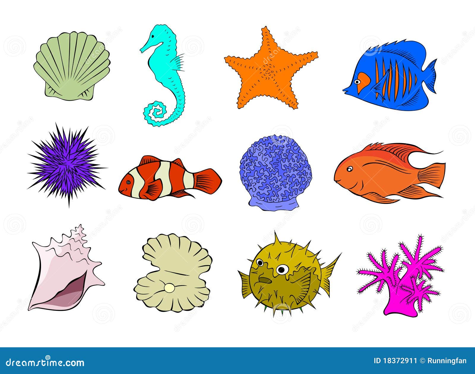 Marine Life 2 stock vector. Illustration of coral, fish - 18372911