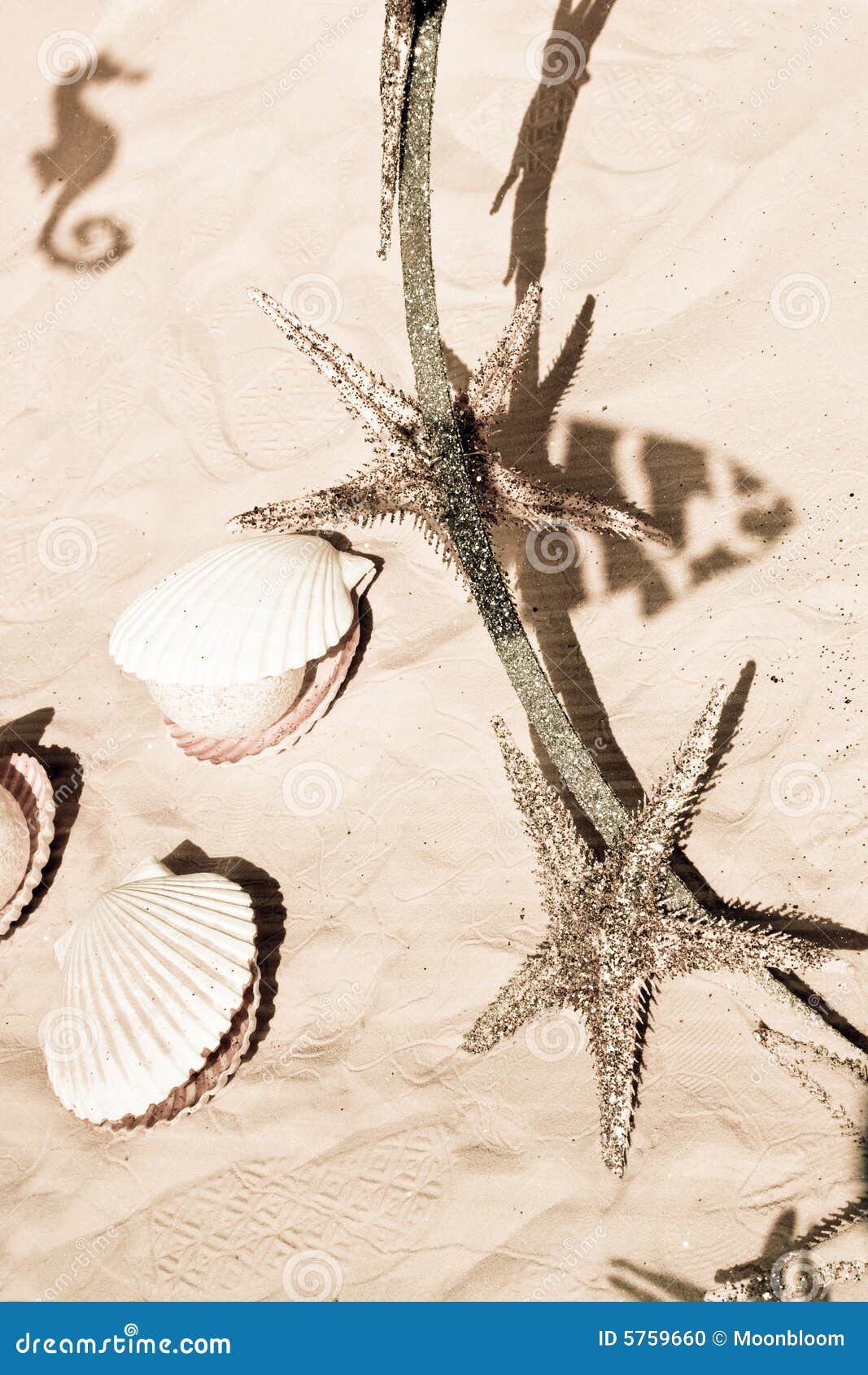 Marine Life stock photo. Image of holiday, bubbles, outdoor - 5759660