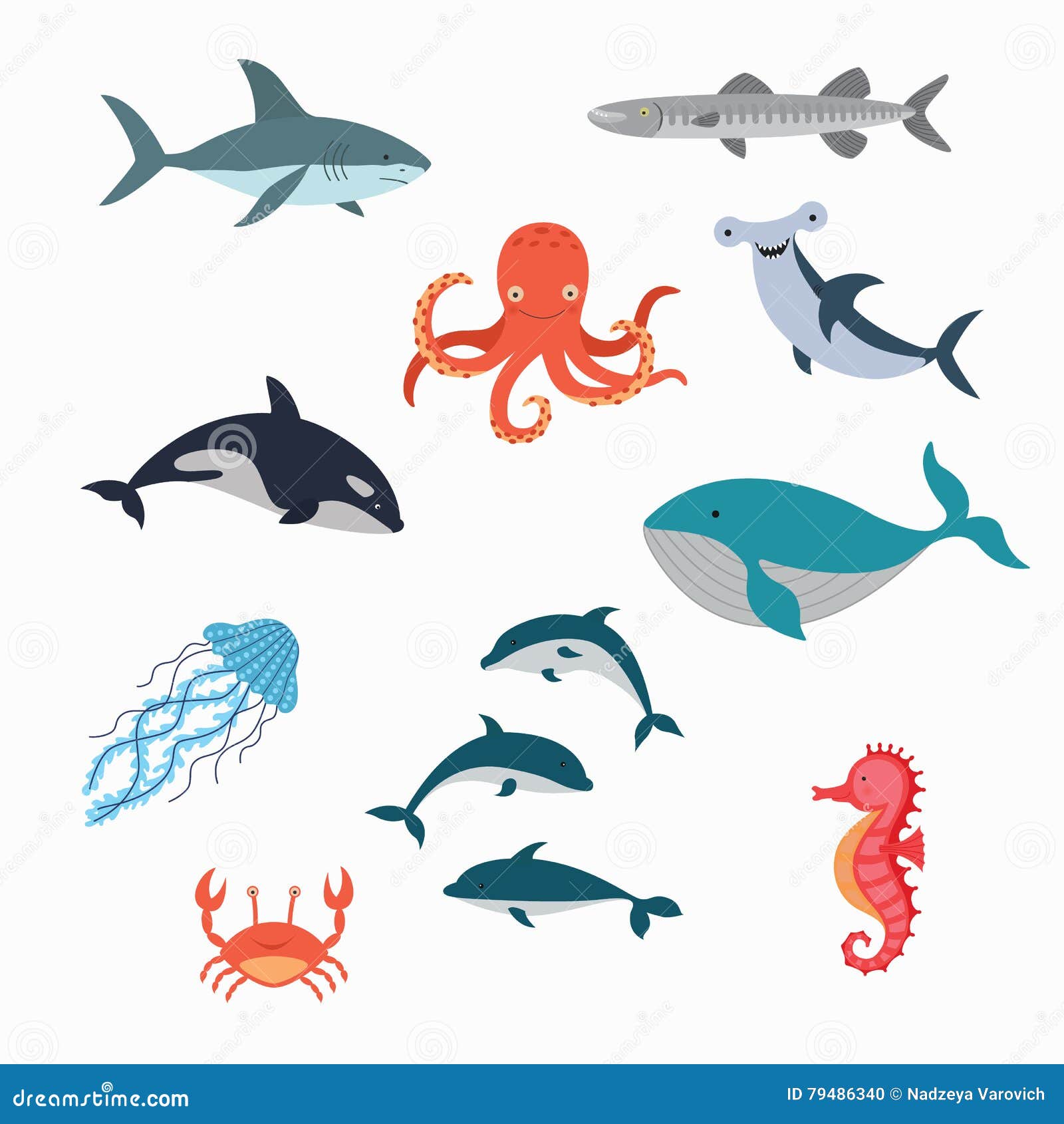 Marine Life Vector Design Illustration Stock Vector - Illustration of ...
