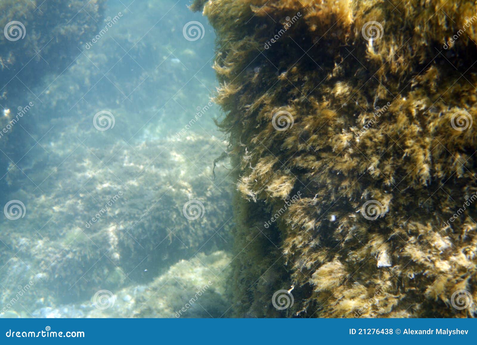 Marine mud. stock photo. Image of ocean, marine, abstract - 21276438