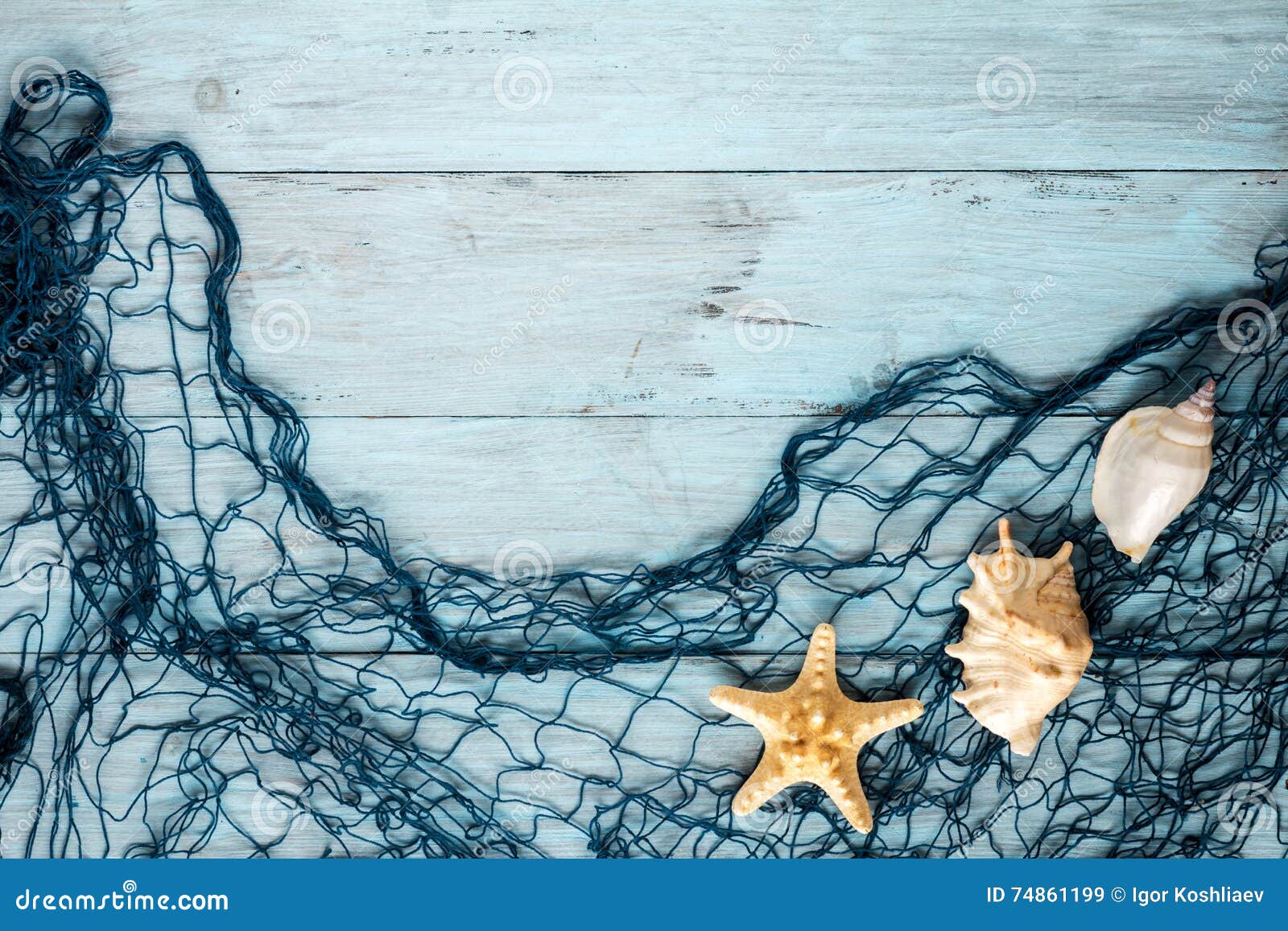 Marine Network and Shells on Blue Boards Stock Image - Image of color ...