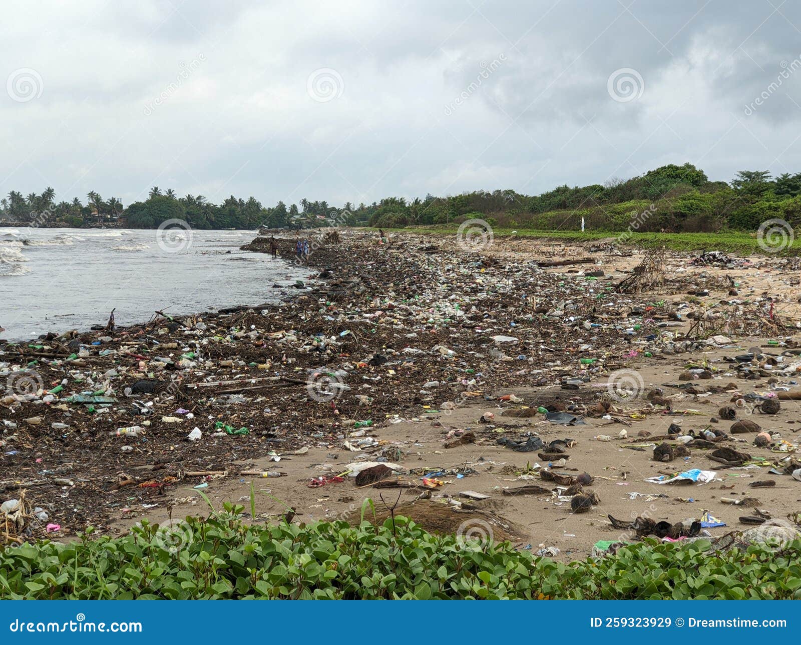 Marine Pollution by Improper Dumping of Plastics Stock Image - Image of marine, beach: 259323929